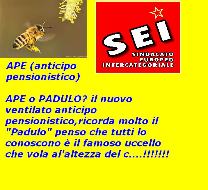 APE o PADULO? « SEI sindacato Europeo Intercategoriale